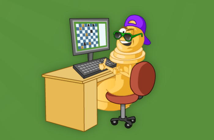 Endgame: The Final Phase Of A Chess Game - ChessKid.com