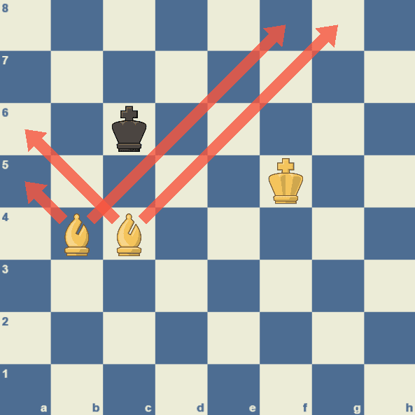 Checkmate with Two Bishops - Chess Terms - ChessKid.com